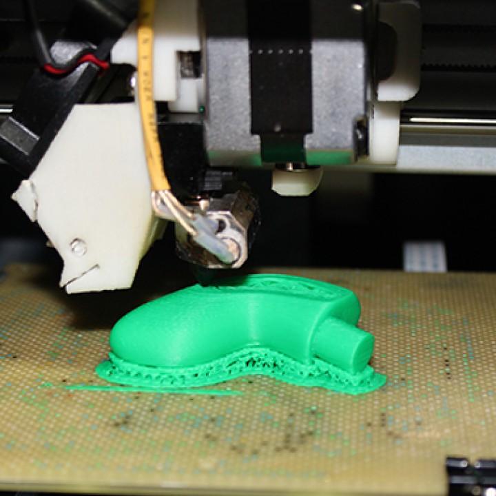 3D Printable Hawksbill Sea Turtle by Ivan Kwok