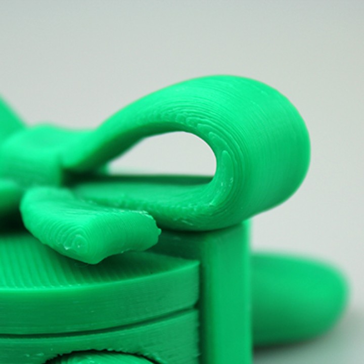 3D Printable Hawksbill Sea Turtle by Ivan Kwok