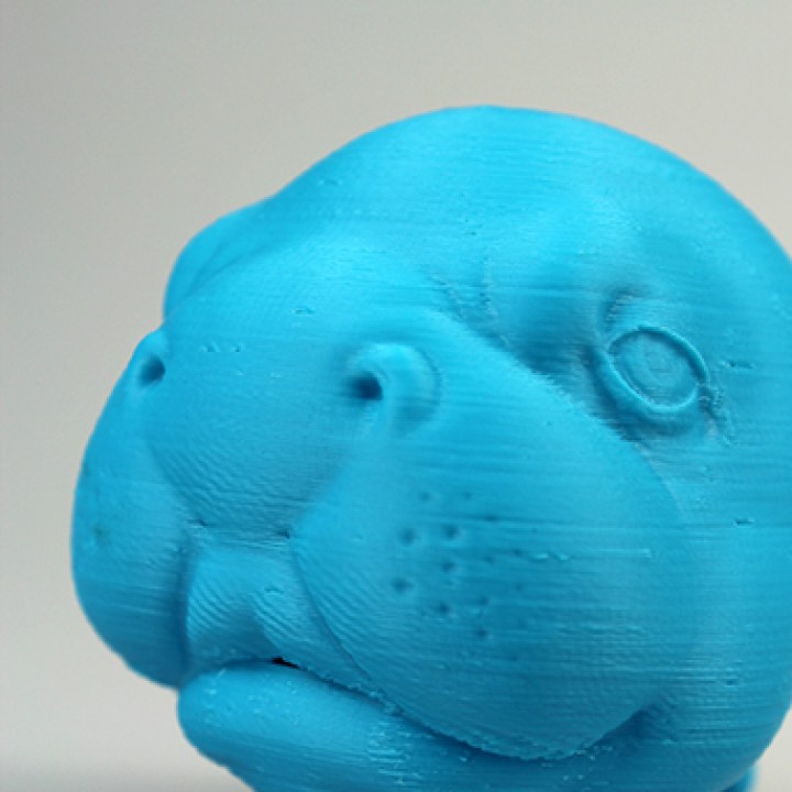 3D Printable Manatee by Fabio Bautista