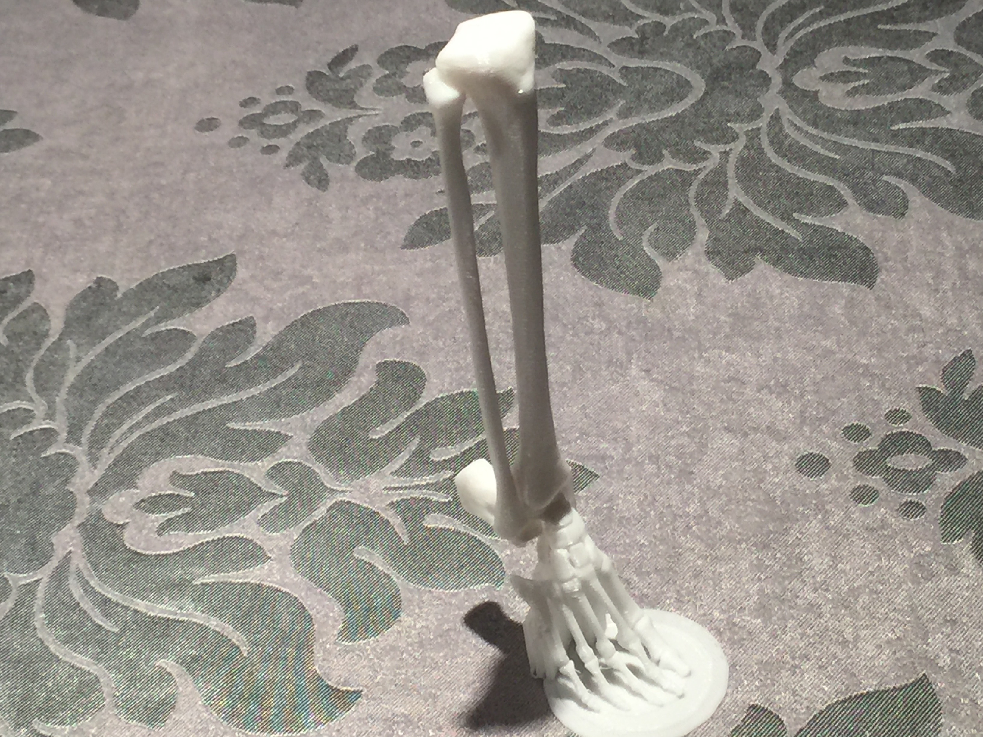 3D Printable Skeleton Leg by Annalize Butler