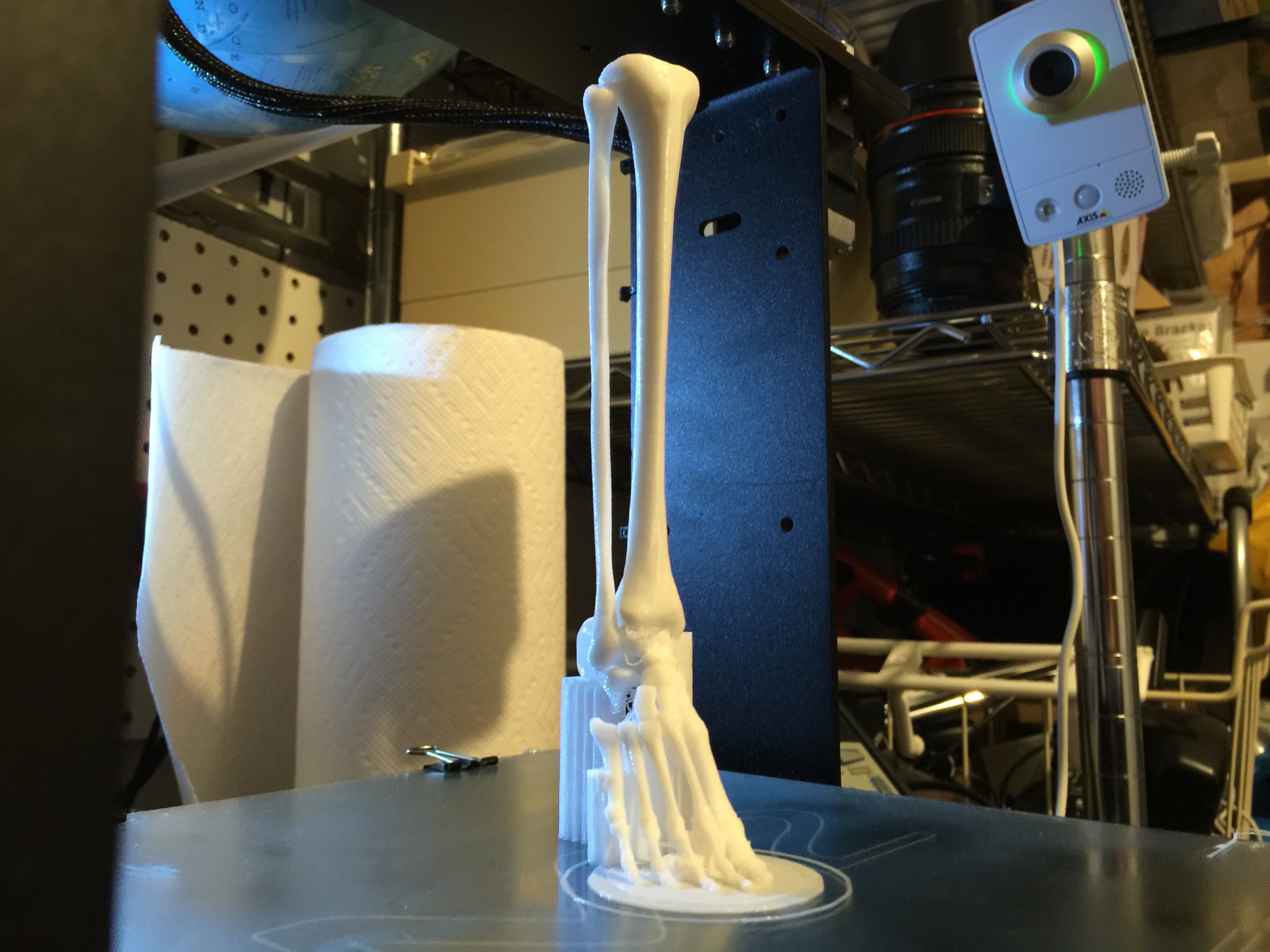 3D Printable Skeleton Leg by Annalize Butler