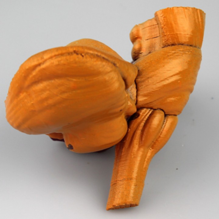 3D Printable Brain Stem and Posterior Lobe of the Cerebullum by ...