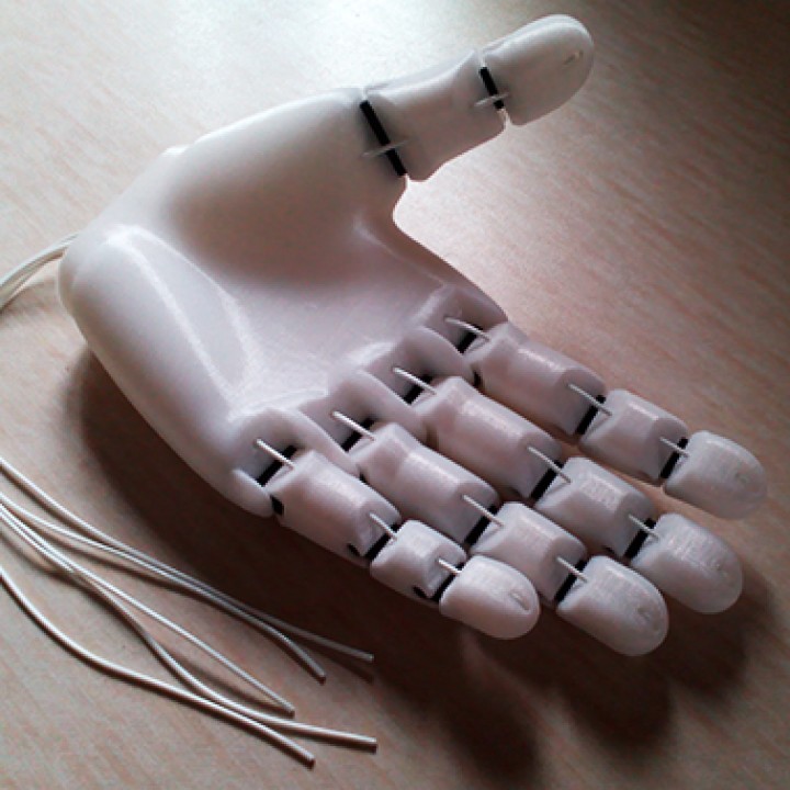 3D Printable Flexy-Hand by Gyrobot