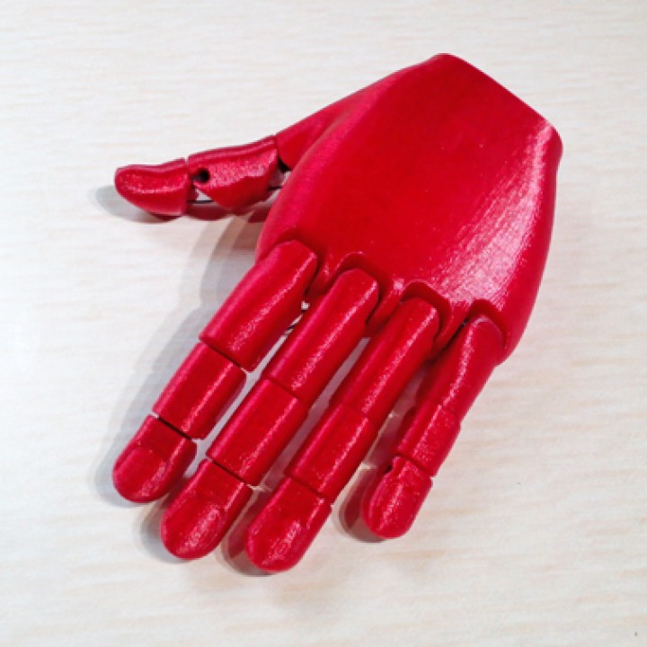 3D Printable Flexy-Hand by Gyrobot