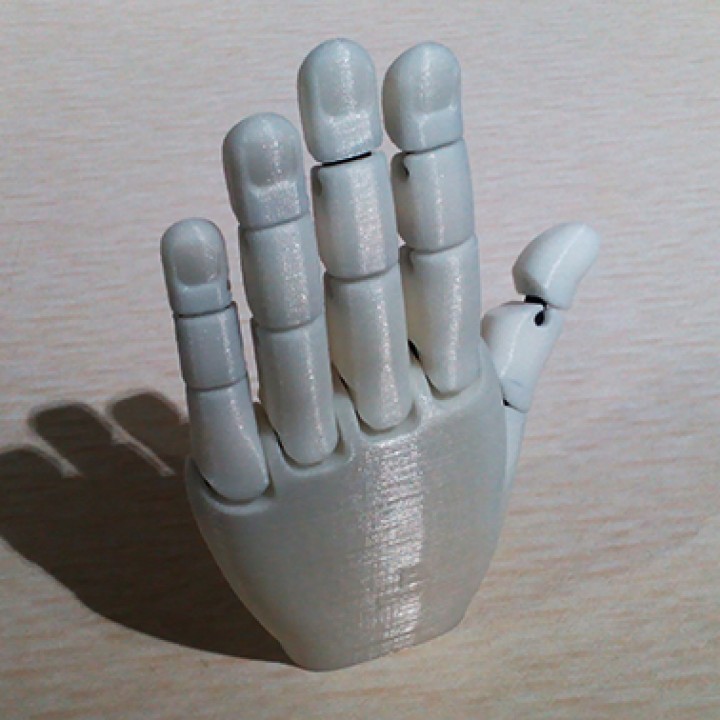 3D Printable Flexy-Hand by Gyrobot