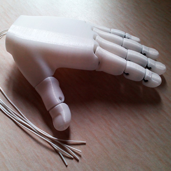 3D Printable Flexy-Hand by Gyrobot