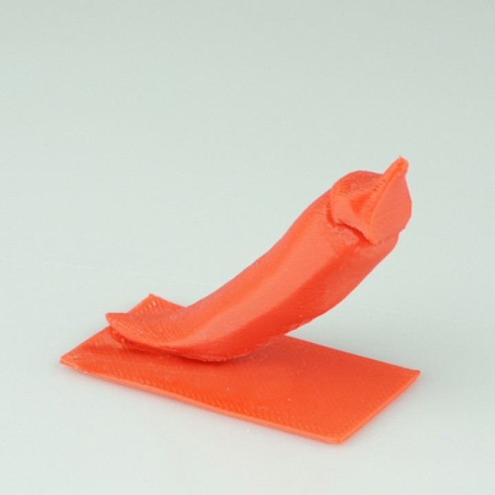3D Printable Chilli Pepper by Marek Zloch