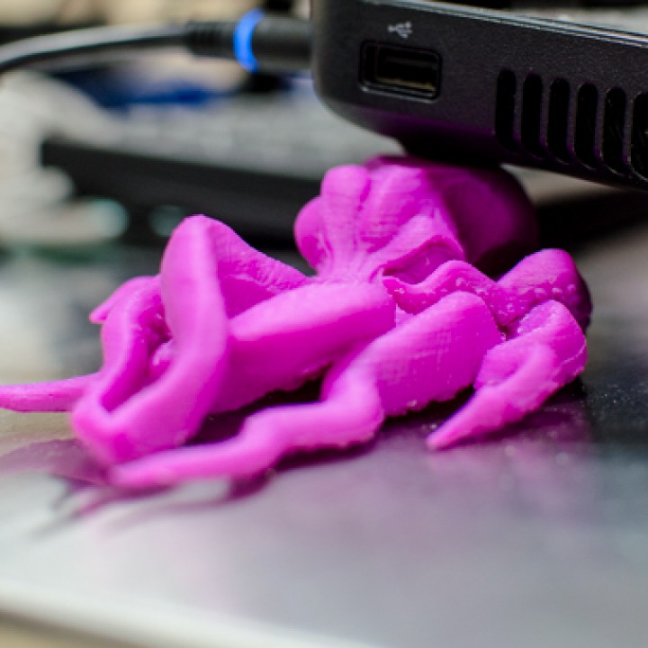 3D Printable Octopus Laptop Incliner by Daniel Schunemann