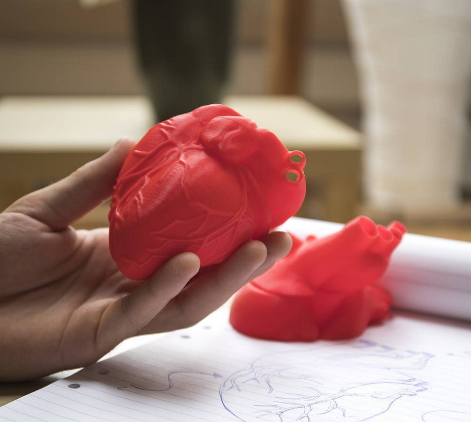 3D Printable Anatomical Heart by Drew Morgan