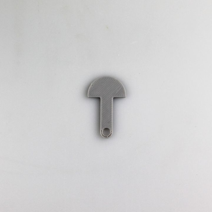 3D Printable Australian $1.00 Removable Trolley Token by Adam Chapman