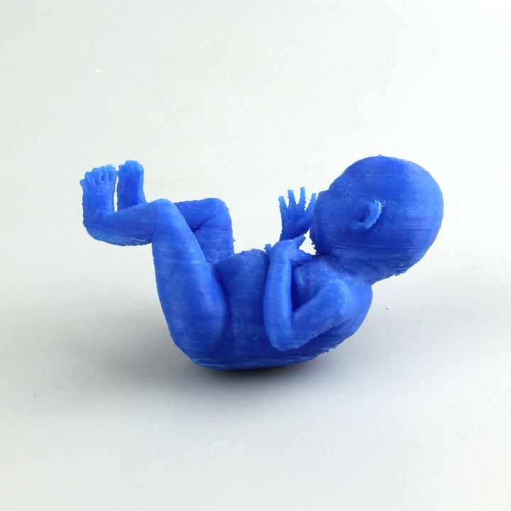 3D Printable Pocket baby by y l