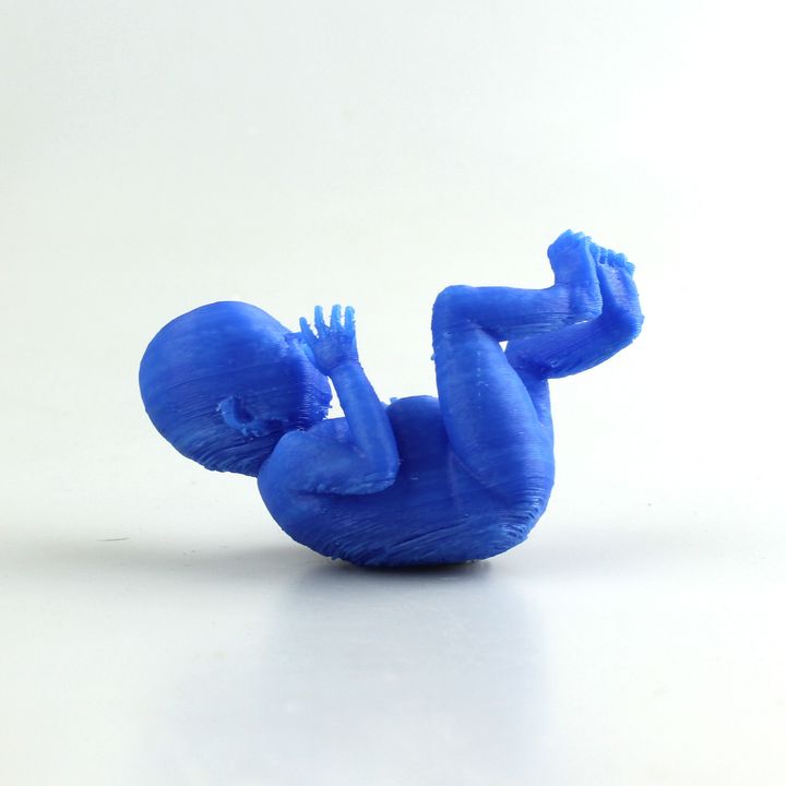3D Printable Pocket baby by y l