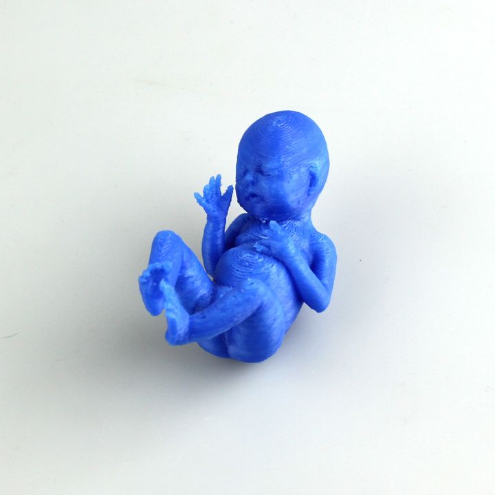 3D Printable Pocket baby by y l