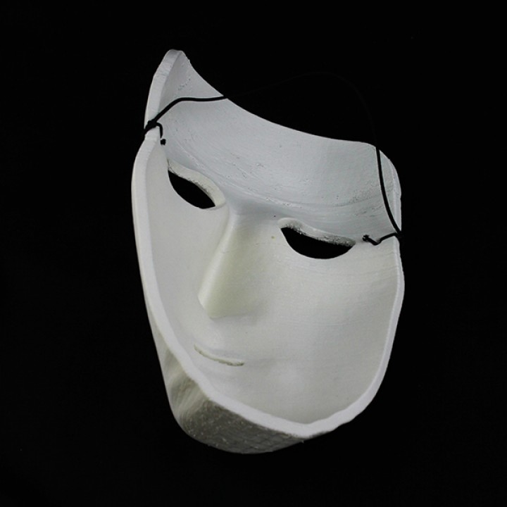 3D Printable Blank Mask by alan stanford