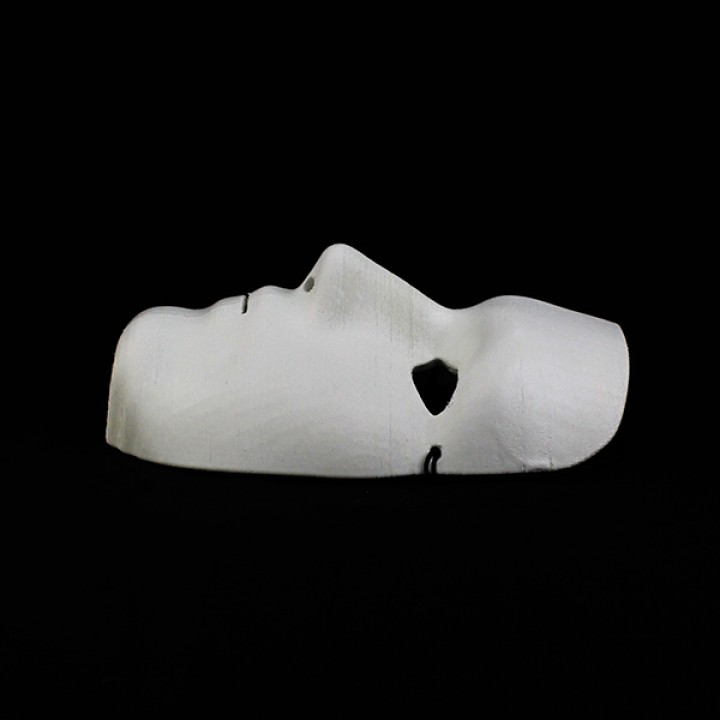 3D Printable Blank Mask by alan stanford
