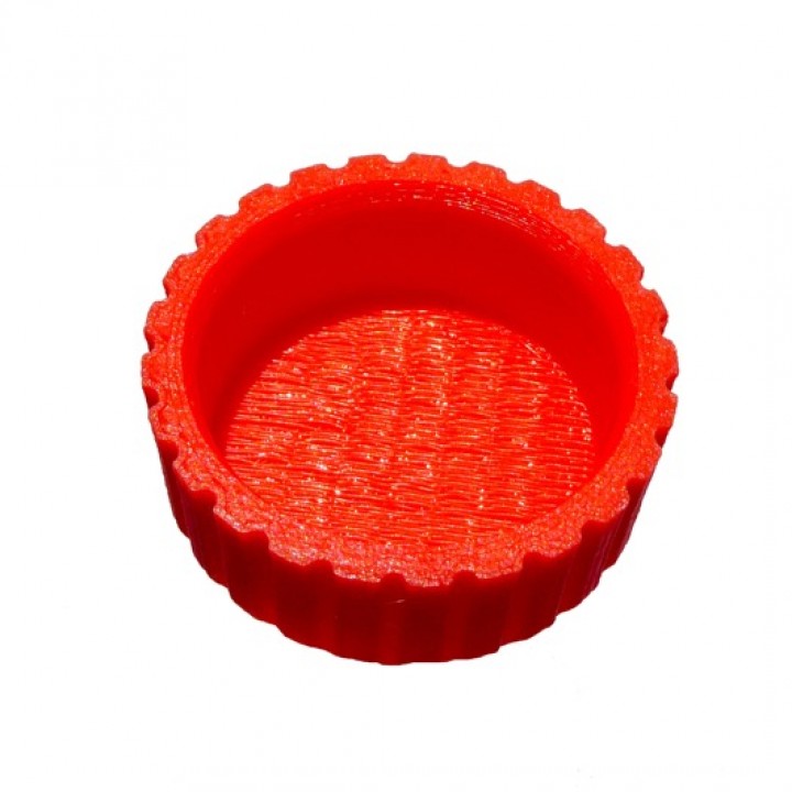 3D Printable Gopro Camera Bottle Cap Buoyancy Adapter by Reg Taylor