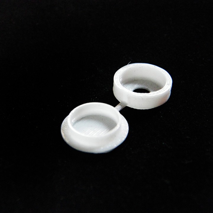 3D Printable Capped Screw Cover by Andrew Forster