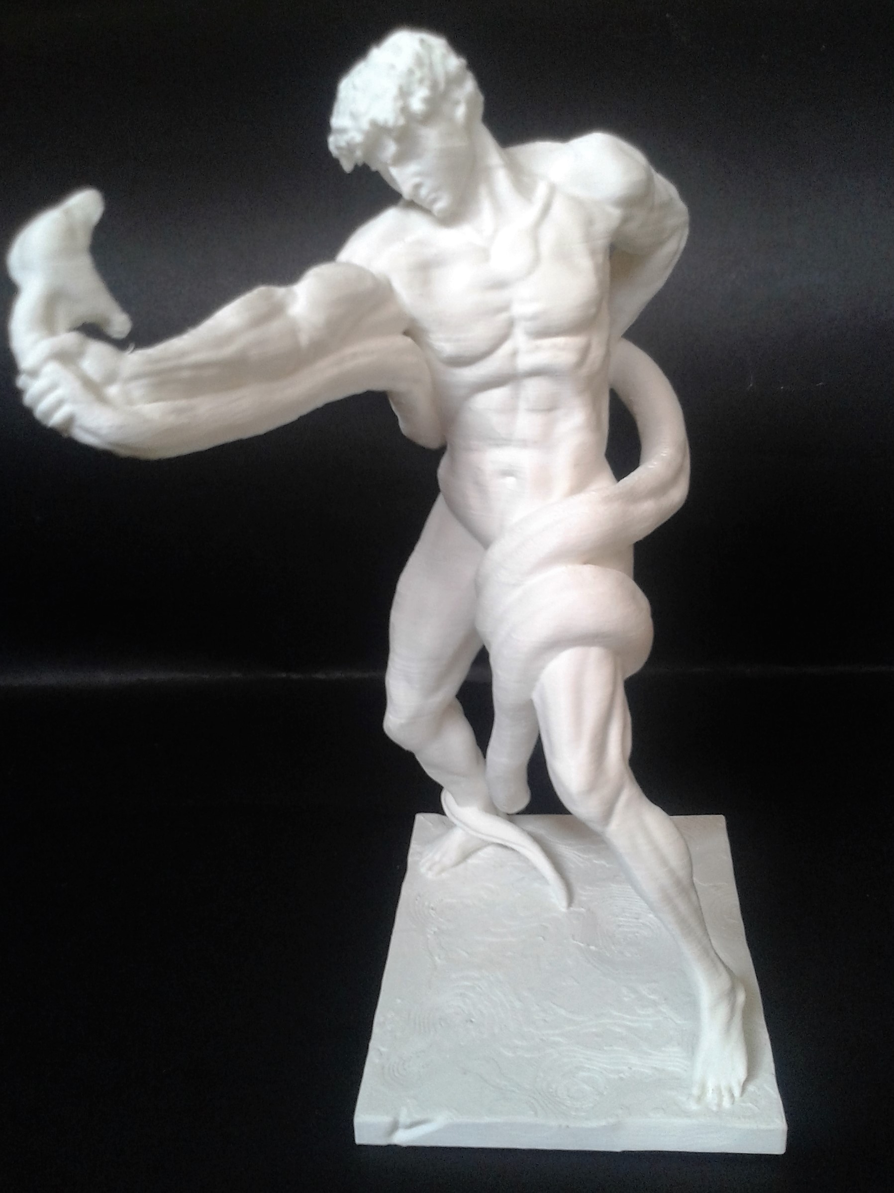3D Printable Athlete Wrestling a Python by Scan The World