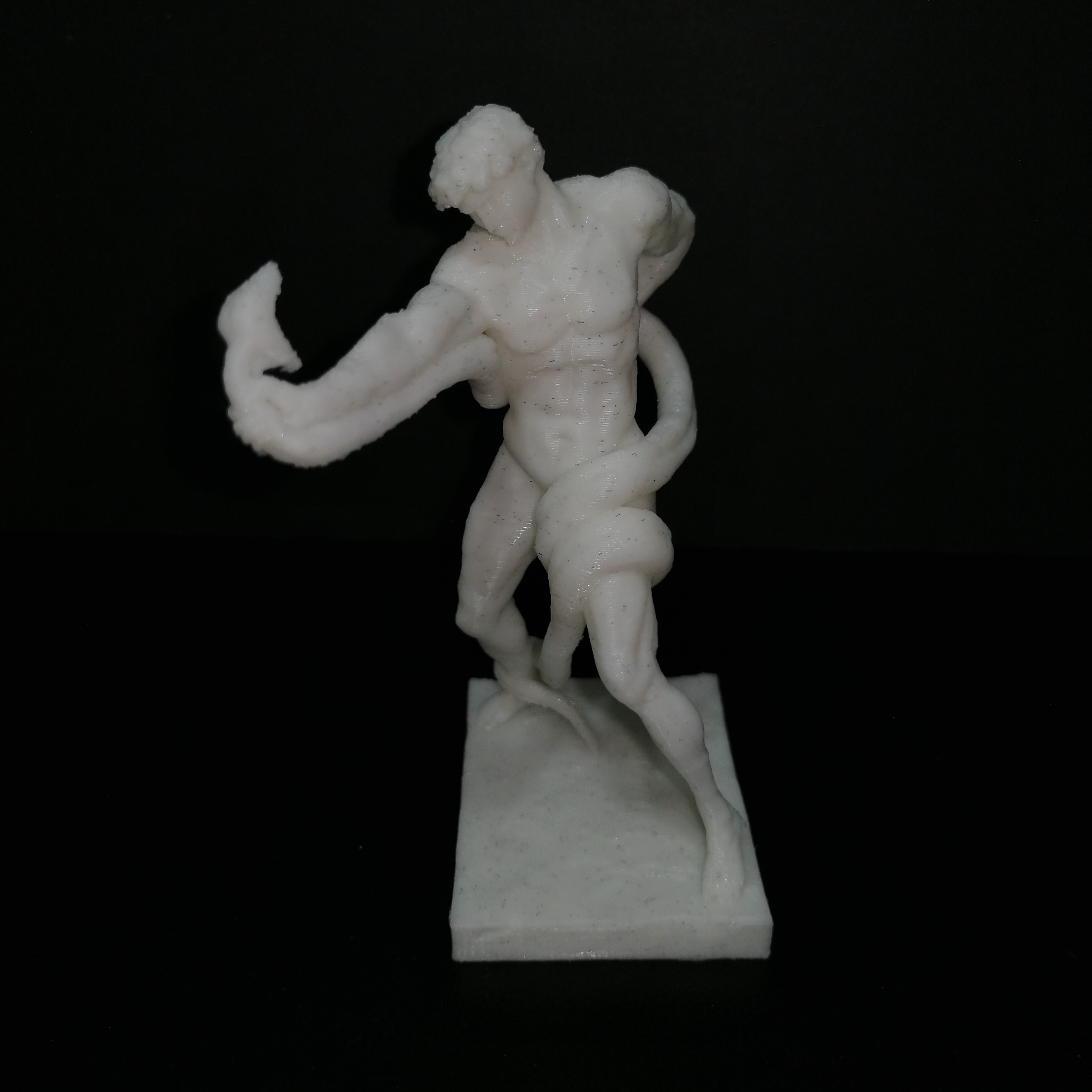 3D Printable Athlete Wrestling a Python by Scan The World