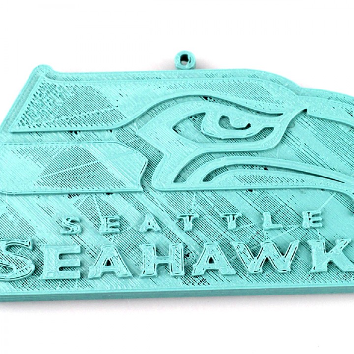 3D Printable Seattle Seahawks by Oleg Khmarnyi