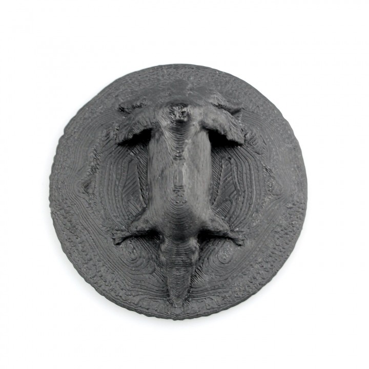 3D Printable Heen the dog (from Howl's Moving Castle) by Vasilis Katsaros