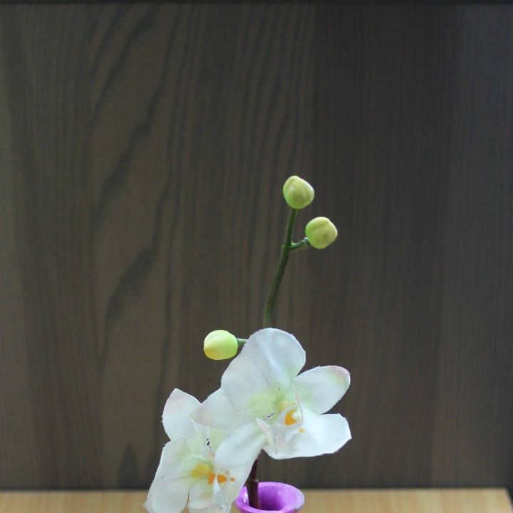 3D Printable Erlenmeyer Flask Vase by M Badia