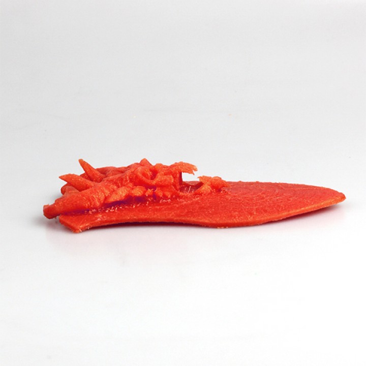 3D Printable Disciples shield by Dzmitry Doryn