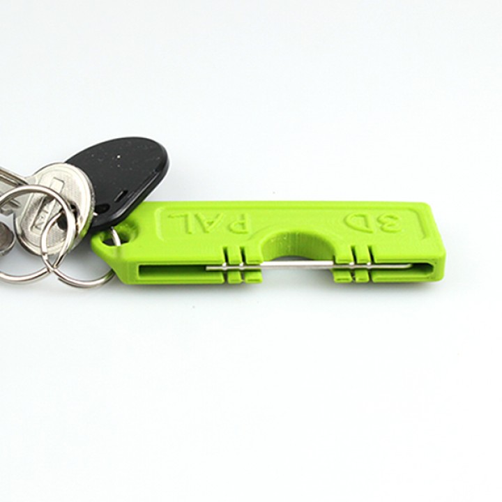 3D Printable 3D Printer Pal Keyring by Chris Easton