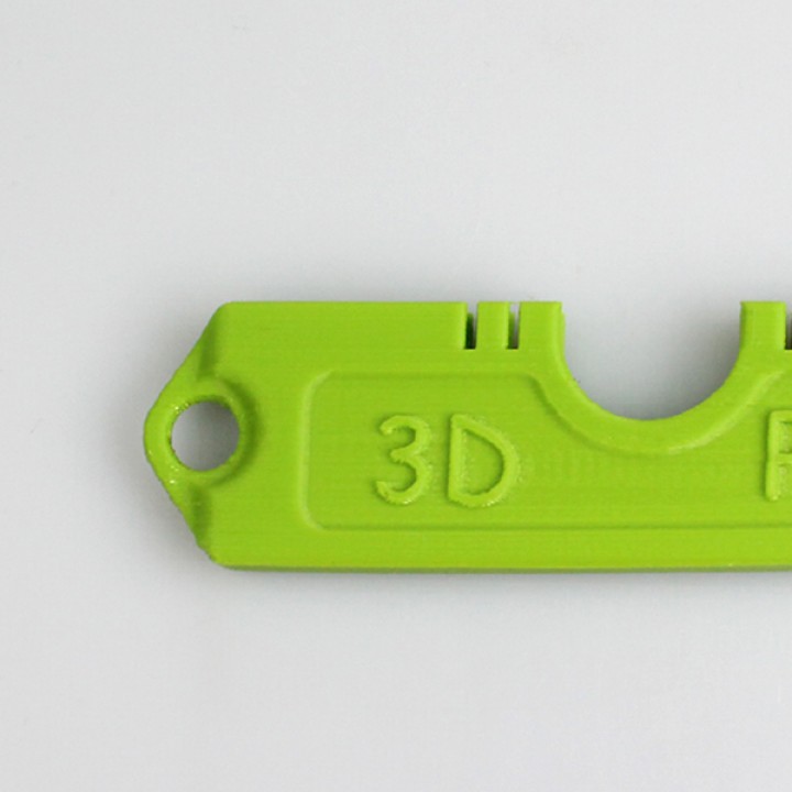3D Printable 3D Printer Pal Keyring by Chris Easton