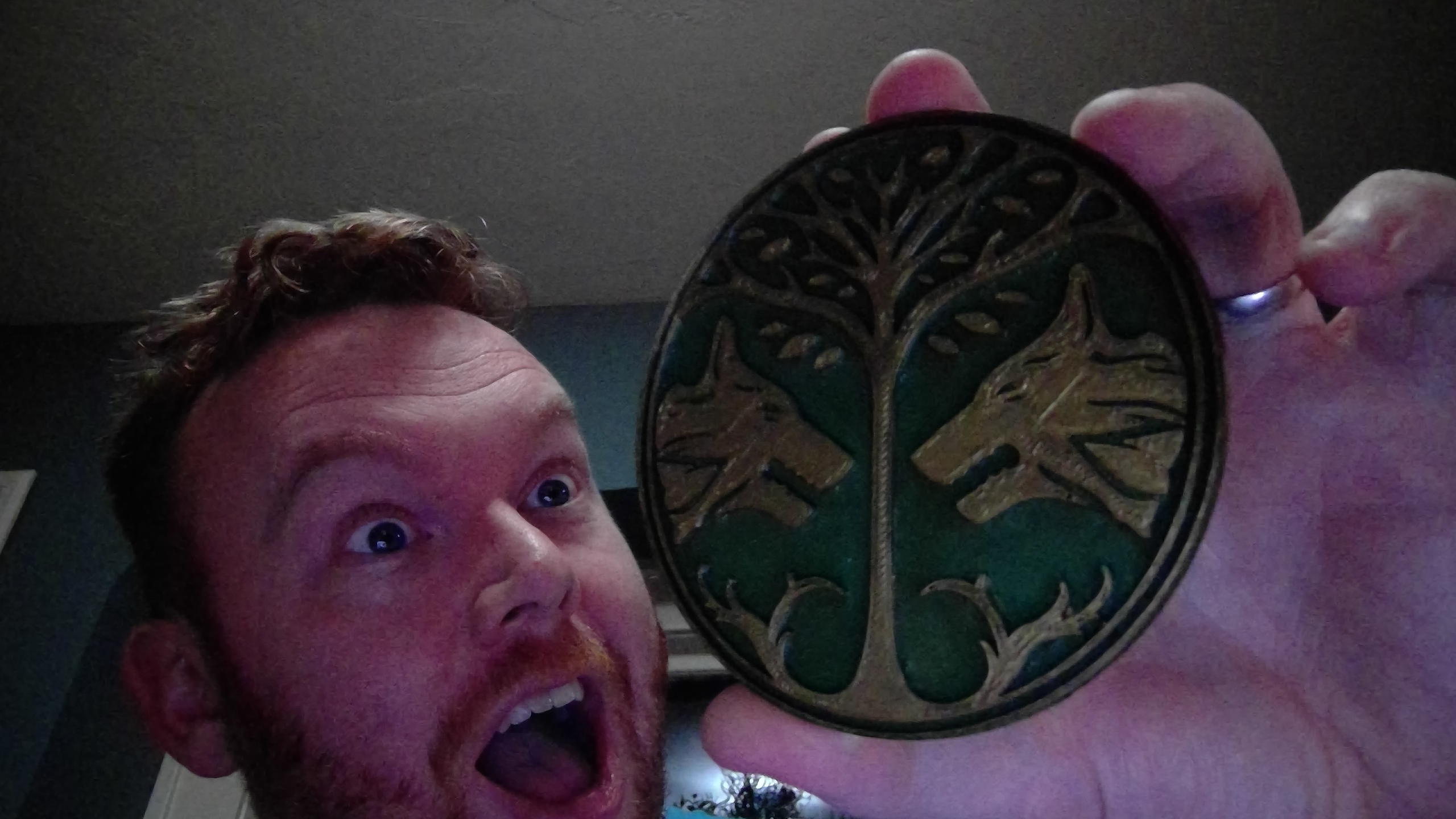 3D Printable Destiny: Iron Banner Emblem by Andrew Le