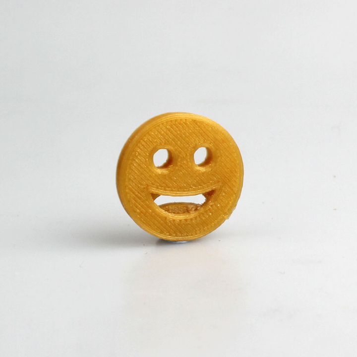 3D Printable Happy Sad Coin by Dennis Humphrey