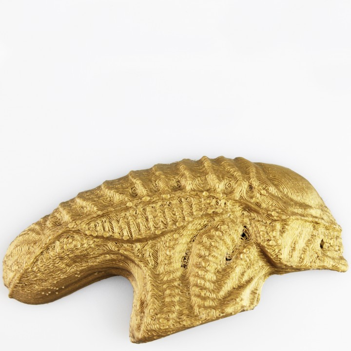 3D Printable ALIEN HEAD SPLITTET by Roman Amstutz