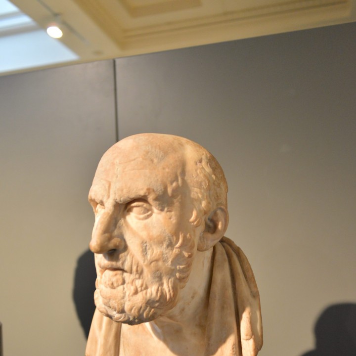 3D Printable Chrysippos at The British Museum, London by Scan The World