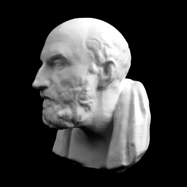 3D Printable Chrysippos at The British Museum, London by Scan The World