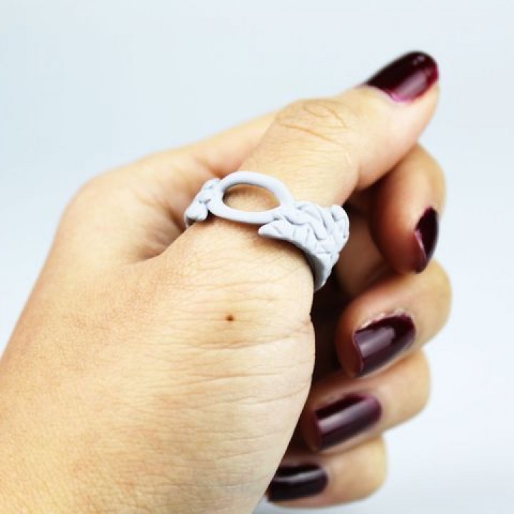 3D Printable Wing ring by Stefanos Anagnostopoulos
