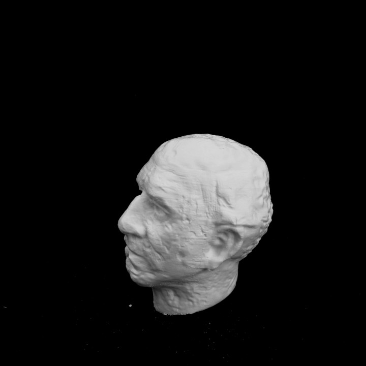 3D Printable Bust of Professor Lord Zuckerman at The Sainsbury Centre ...