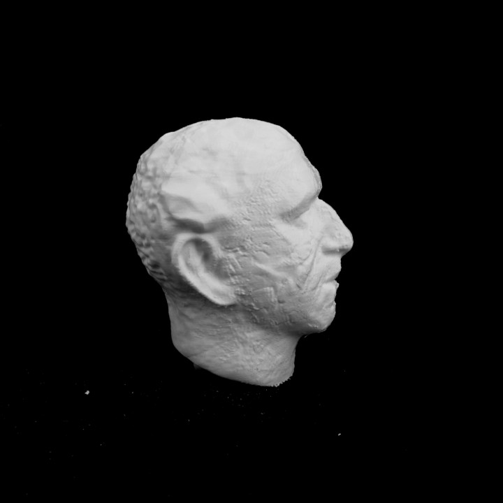 3D Printable Bust of Professor Lord Zuckerman at The Sainsbury Centre ...