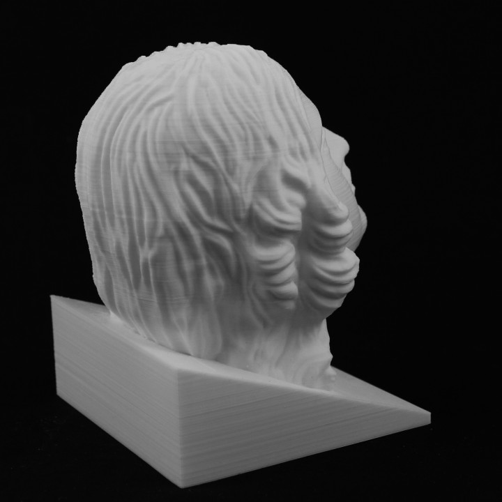 3D Printable Head Sculpture at The National Maritime, London by Scan ...