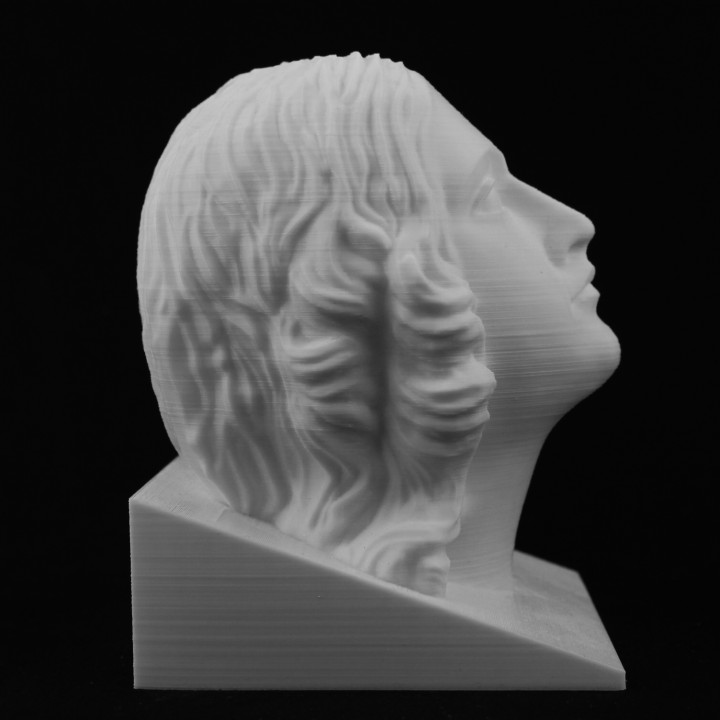 3D Printable Head Sculpture at The National Maritime, London by Scan ...