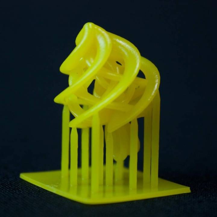 3D Printable Yer Twisted Heart by Christopher Palko