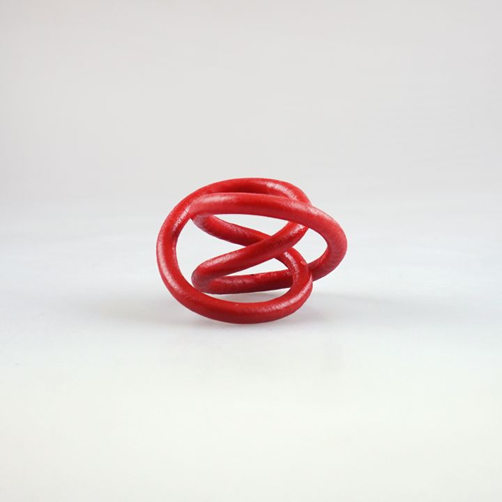 3D Printable Torus Knot Ring by inklink