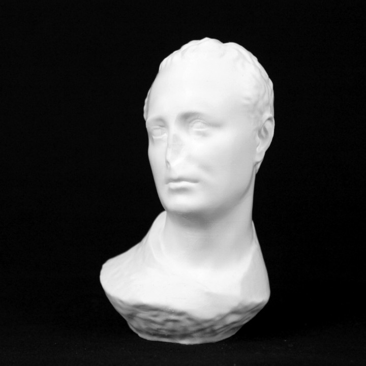 3D Printable Marble Portrait of an Unknown Man at The British Museum ...