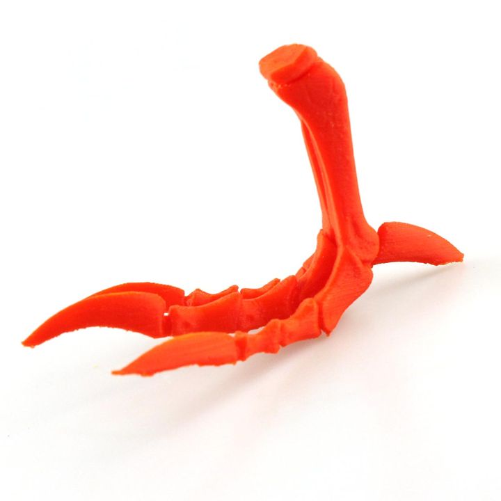 3D Printable Dinosaur Foot by Anush Tehrani
