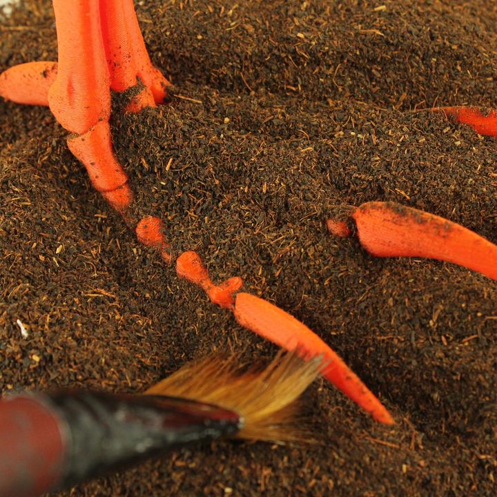 3D Printable Dinosaur Foot by Anush Tehrani