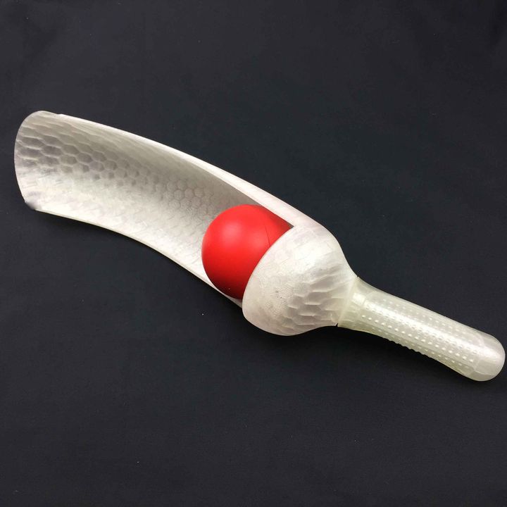 3D Printable Ball Scoop and Launcher by Lloyd Bolts
