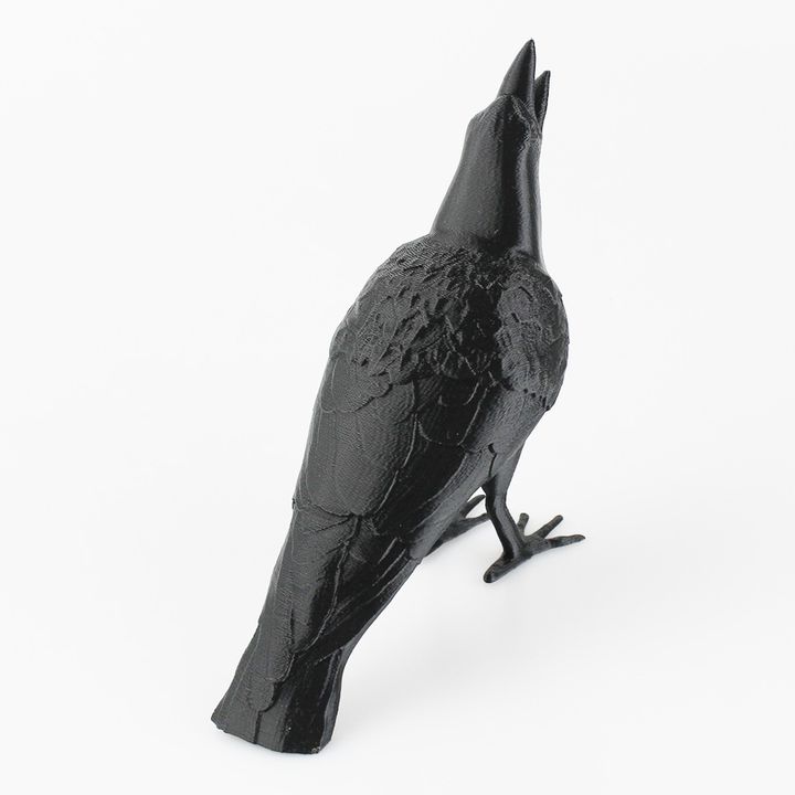 3D Printable Crow - Support Free by Evavoo