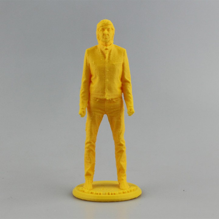 3D Printable Sir Paul McCartney by Nicolas Bouchet