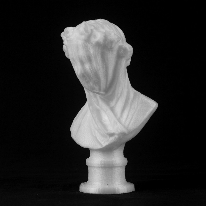 3D Printable Veiled Lady at the Minneapolis Institute of Arts, USA by ...