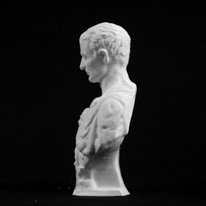 3D Printable Julius Caesar at The Metropolitan Museum of Art, New York ...