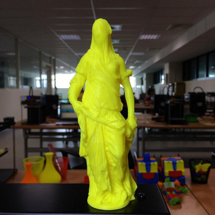 3D Print of Veiled Woman at The Louvre, Paris by andrewwu